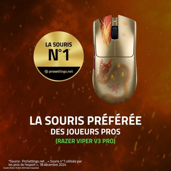 Razer Viper V3 Pro Dragon Lore – Souris Gaming e-Sport 55g Ultra-Légère ...